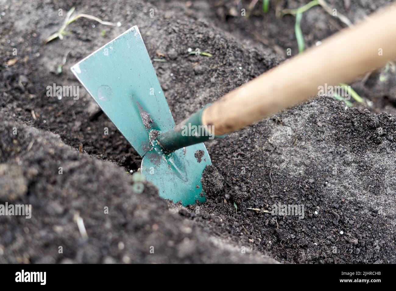 Detail of a hoe digging the soil of a vegetable garden Stock Photo - Alamy