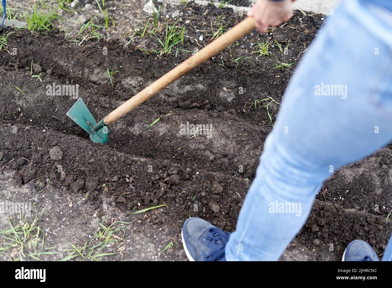 Person using a hoe to till the soil of a home vegetable garden Stock ...