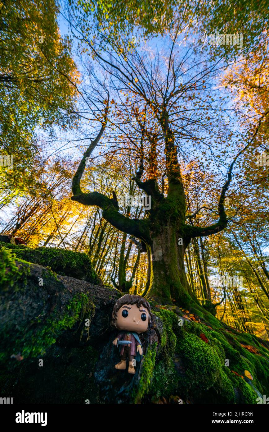 Otzarreta forest in Gorbea Natural Park. Bizkaia, Basque Country Stock ...