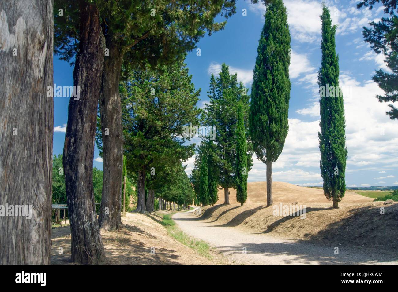 Parco della Canonica, a beautiful park adjacent to the city of Certaldo ...