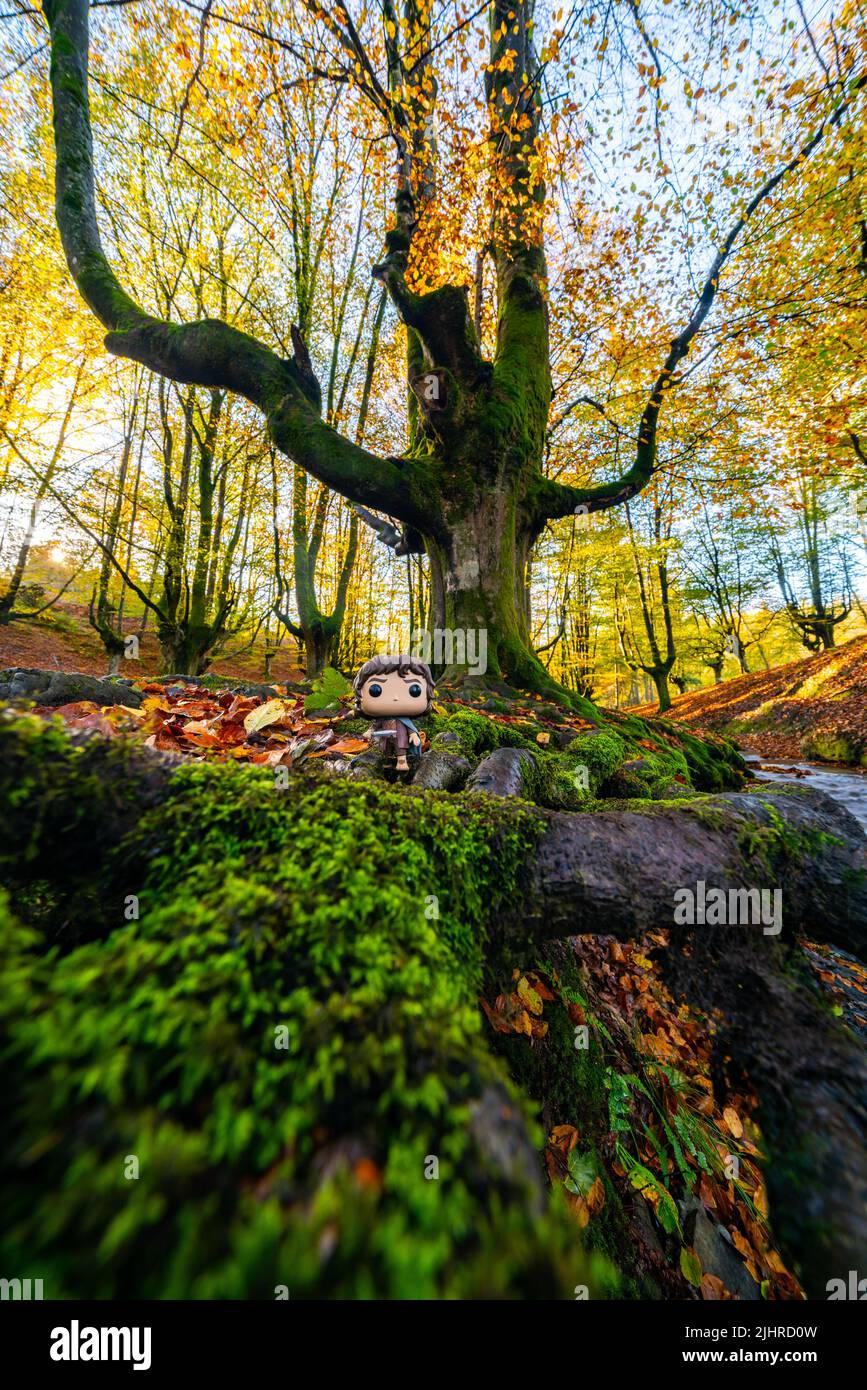 Otzarreta forest in Gorbea Natural Park. Bizkaia, Basque Country Stock ...
