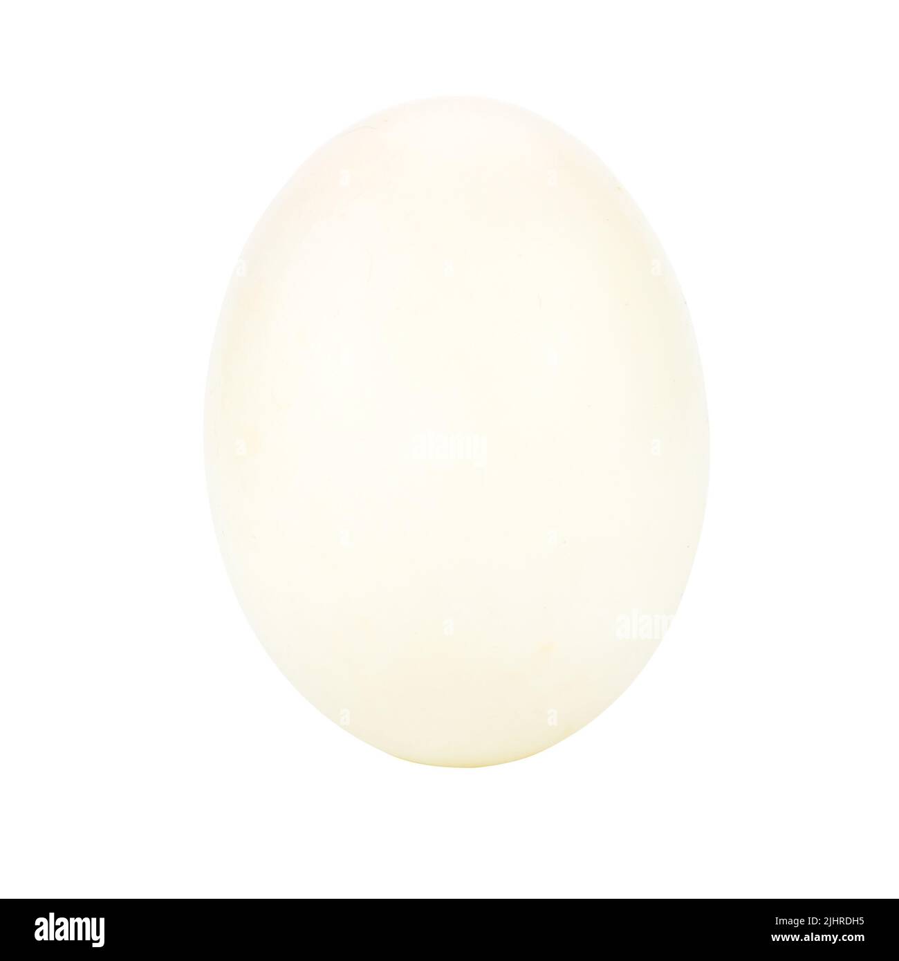 White egg isolated on white background Stock Photo - Alamy