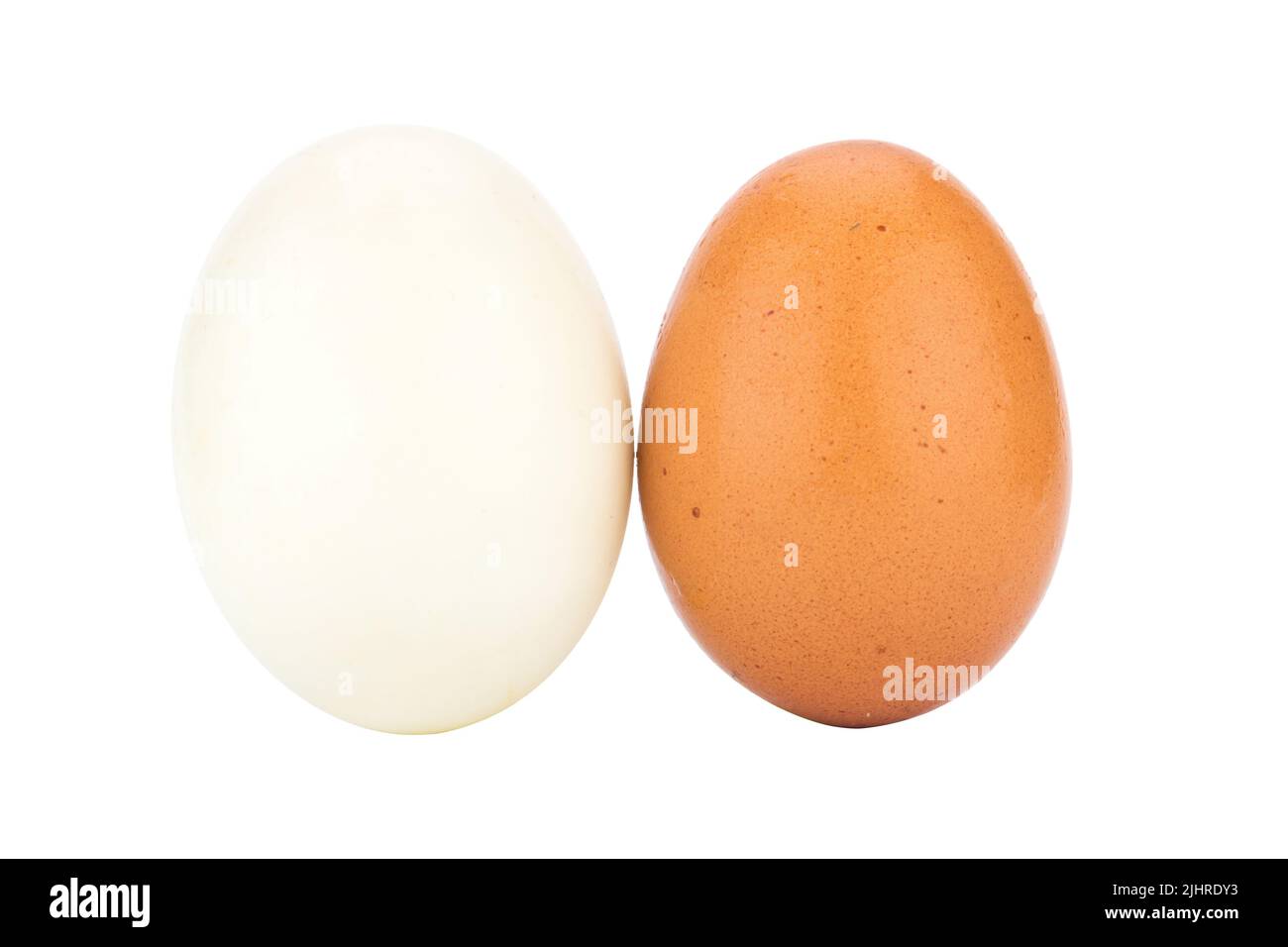 White egg. brown egg. isolated on white background Stock Photo - Alamy