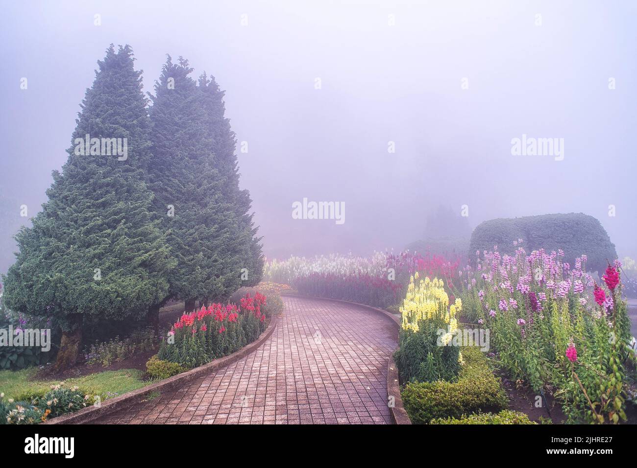 Landscaping with walkway in the garden in the mist Stock Photo - Alamy