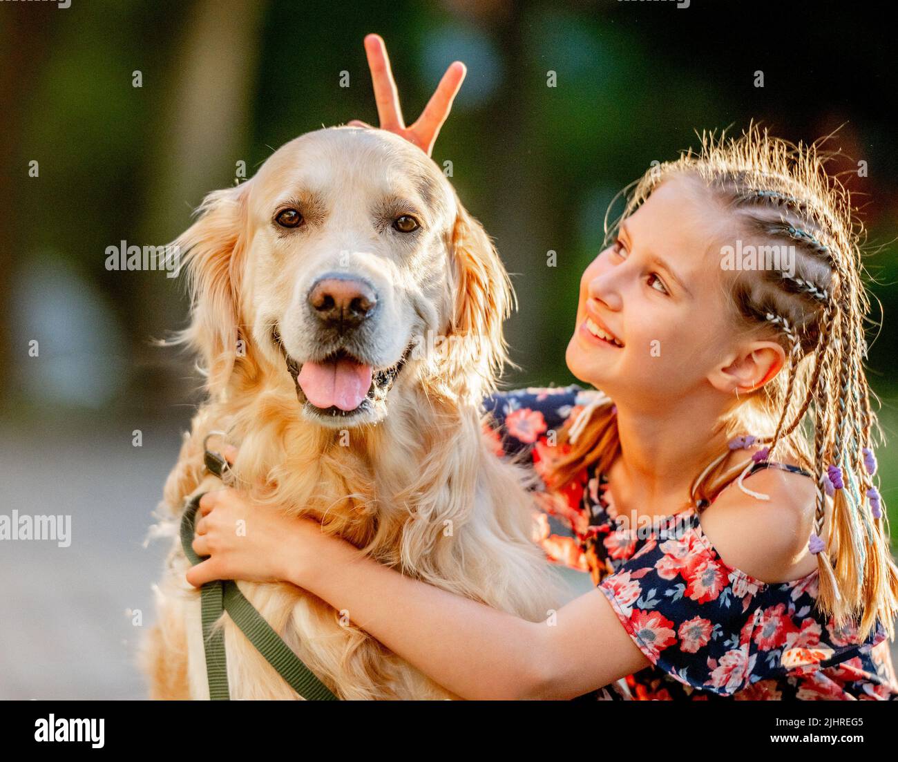 Preteen girl with golden retriever dog Stock Photo - Alamy