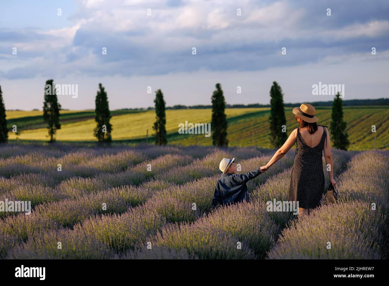 Mother and son walk hand in hand in a beautiful landscape field with ...