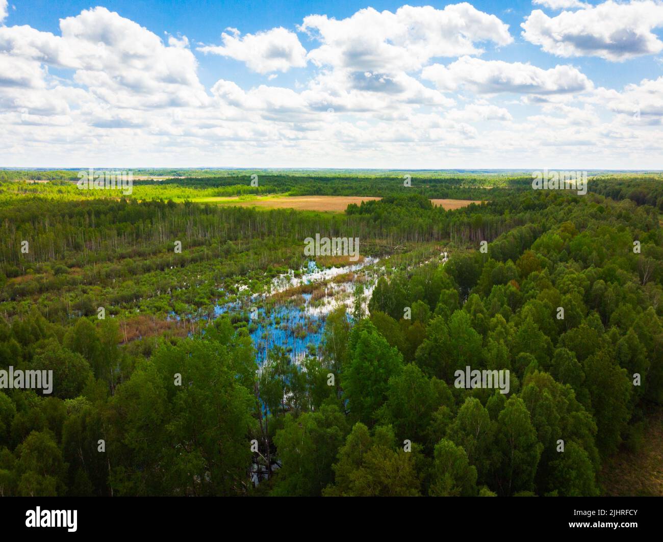 Aerial view after rain flooded field in forest underwater in Lithuania ...