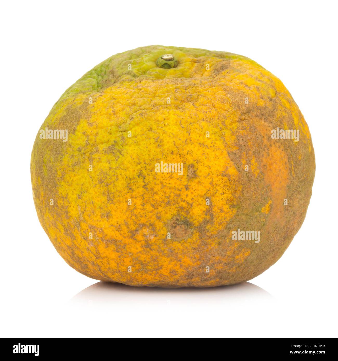 orange. rotten. dirty. isolated on white background Stock Photo - Alamy