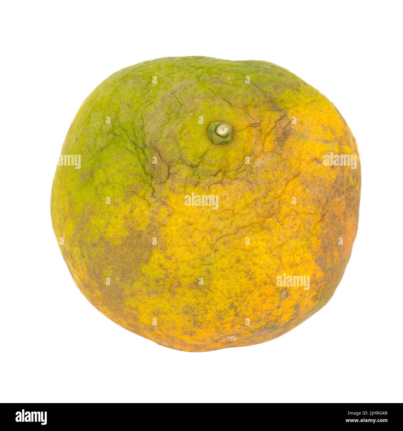 orange. rotten. dirty. isolated on white background Stock Photo - Alamy