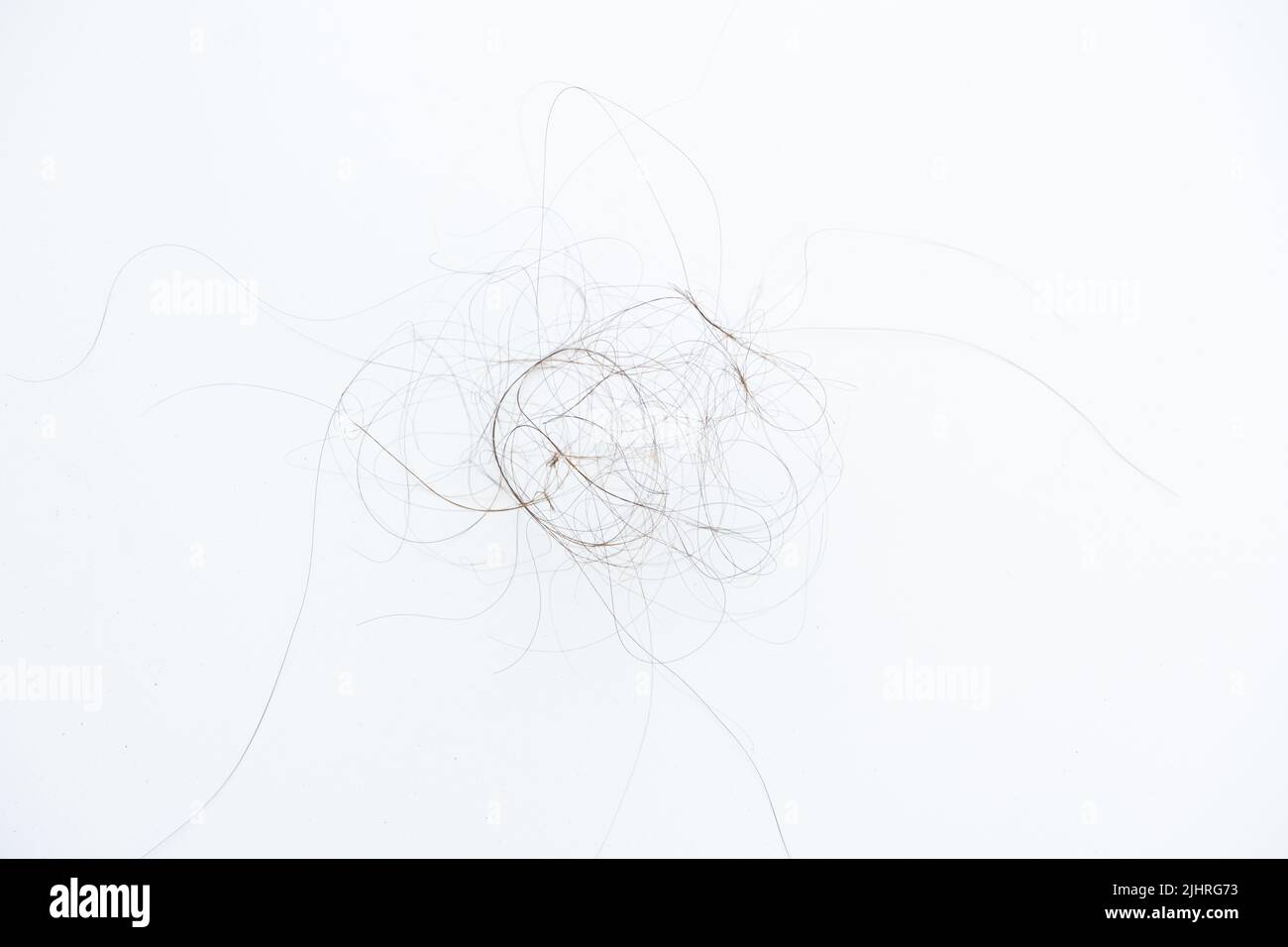 Fallen hair on the white background. Baldness problem Stock Photo - Alamy