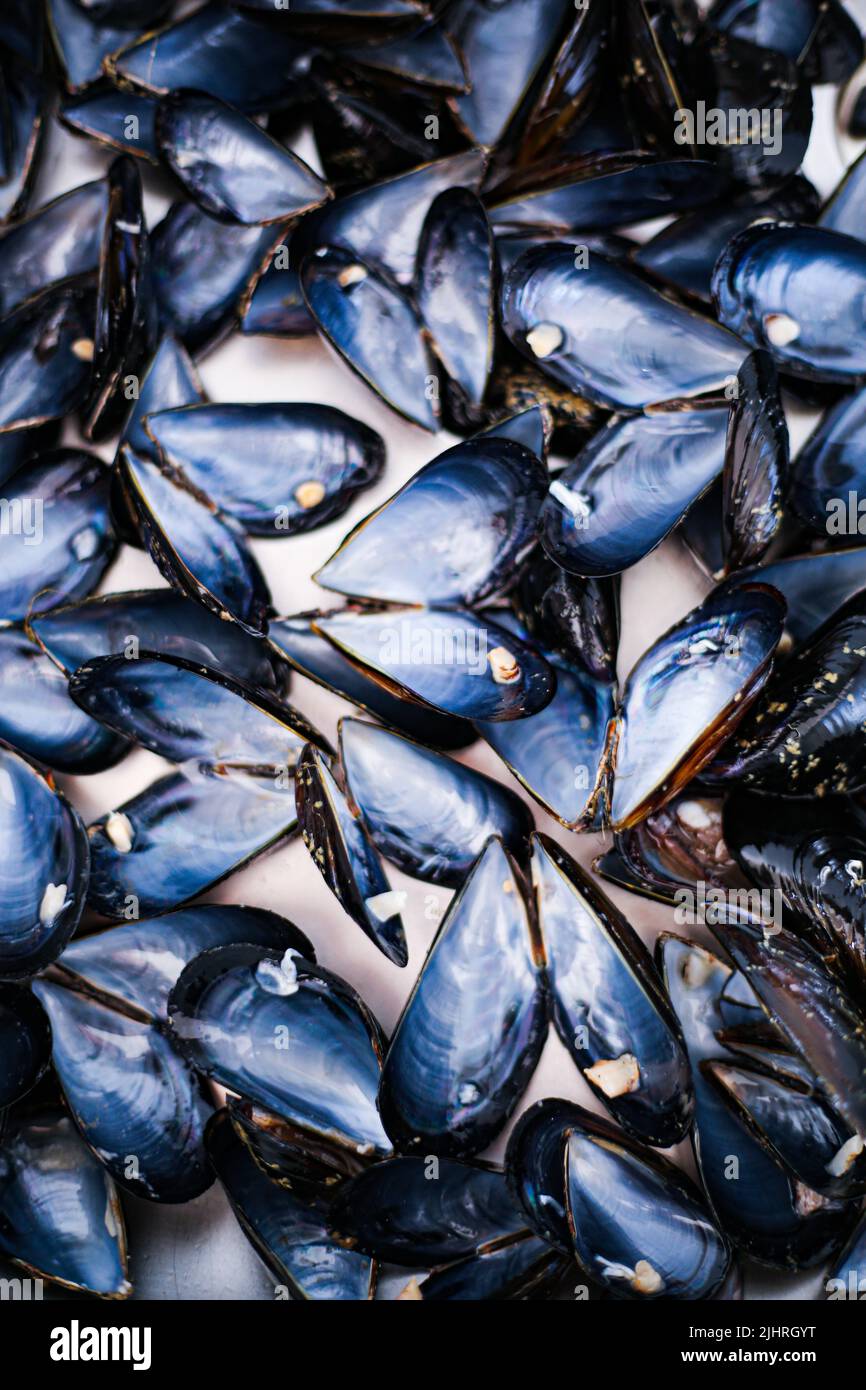 Pearly shells hi-res stock photography and images - Alamy