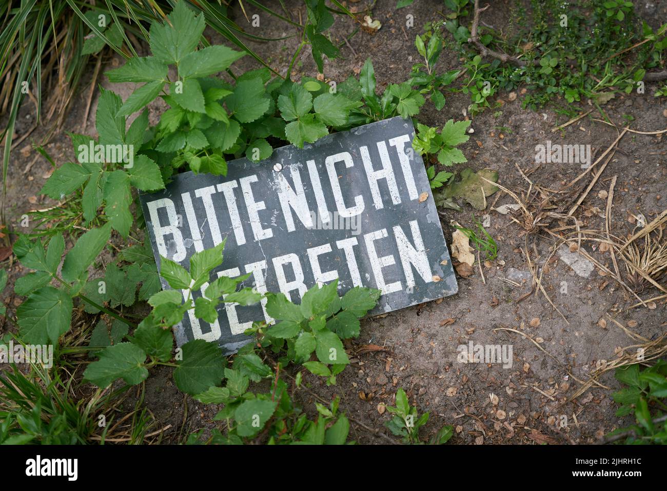 Prohibition sign on the ground of a green area. Translation on the sign ...