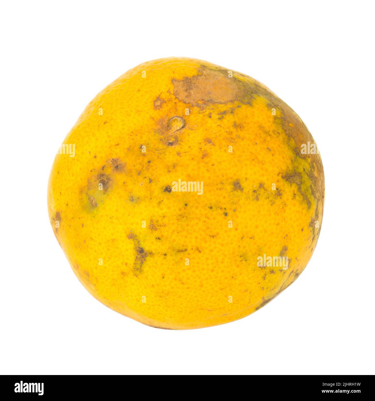 orange. rotten. dirty. isolated on white background Stock Photo - Alamy