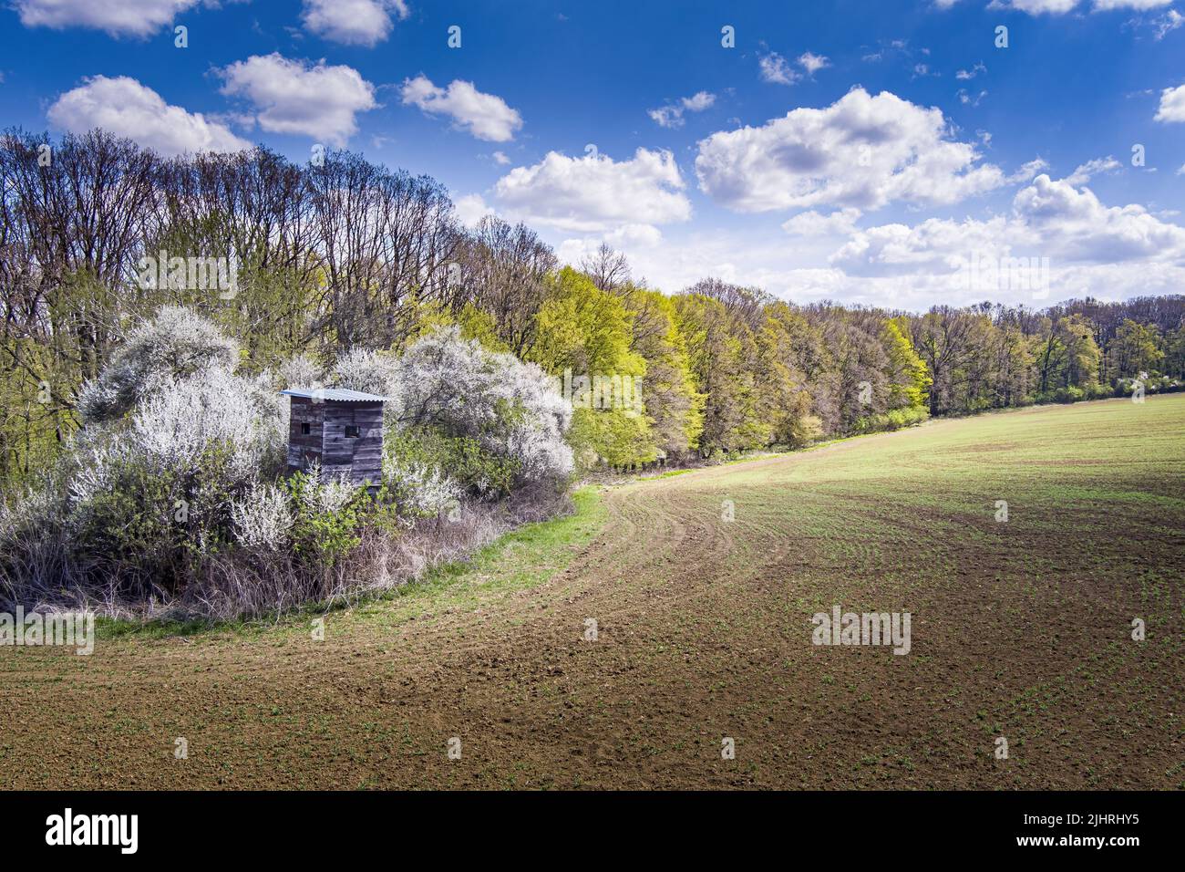 The hunting pulpit built on the edge of the field with a nice view ...