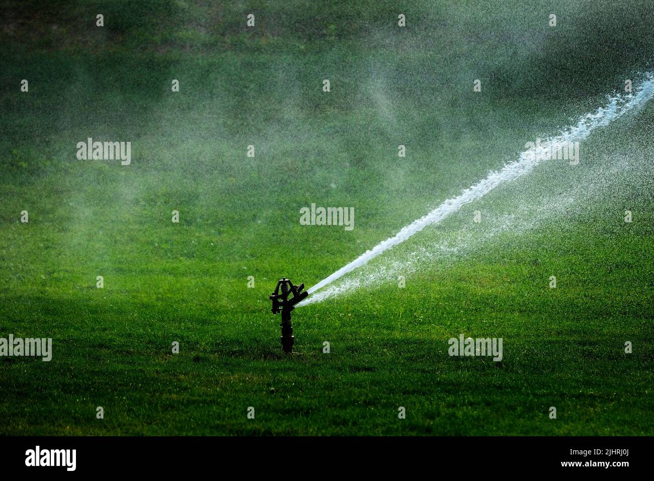 Sprinkler in a park spraying water watering lush green grass Stock ...