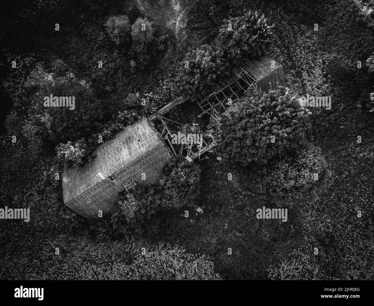 An aerial shot of an old demolished barn in a forest surrounded by ...