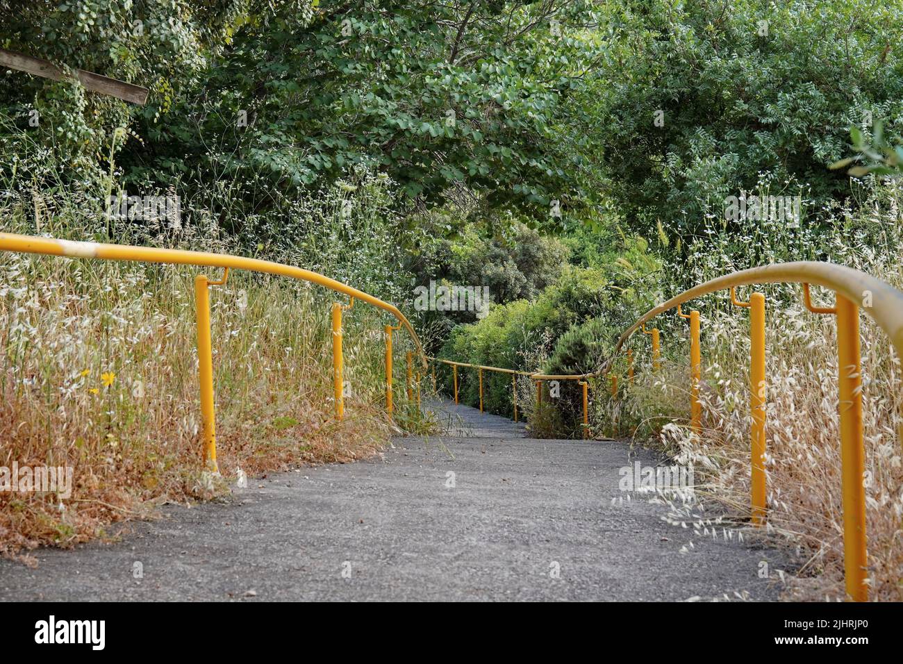 A walkway with yellow handrails on both sides passing through a scenic ...