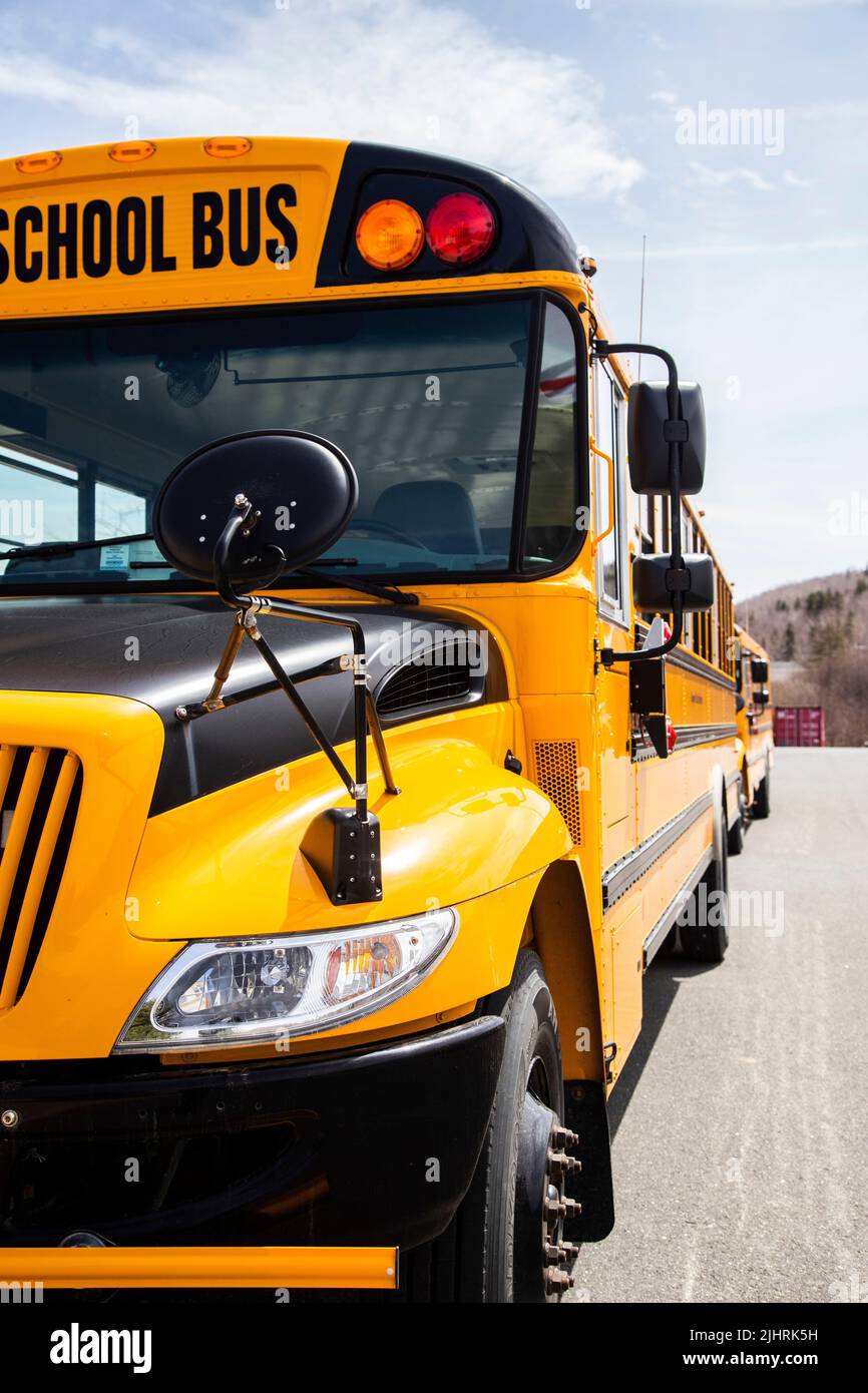 A vertical shot of a School Bus parked on the road under the sunlight ...
