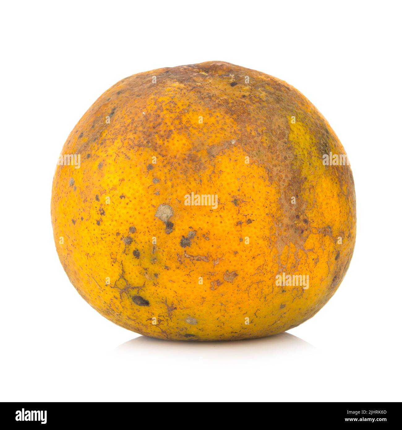 orange. rotten. dirty. isolated on white background Stock Photo - Alamy