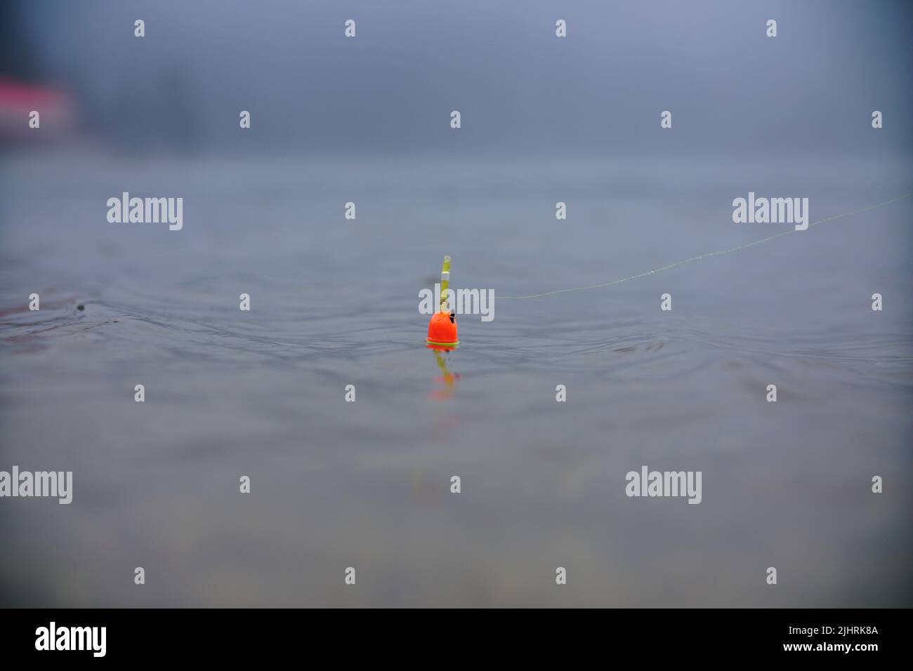 An orange and green fishing bobber floating in the water Stock Photo ...