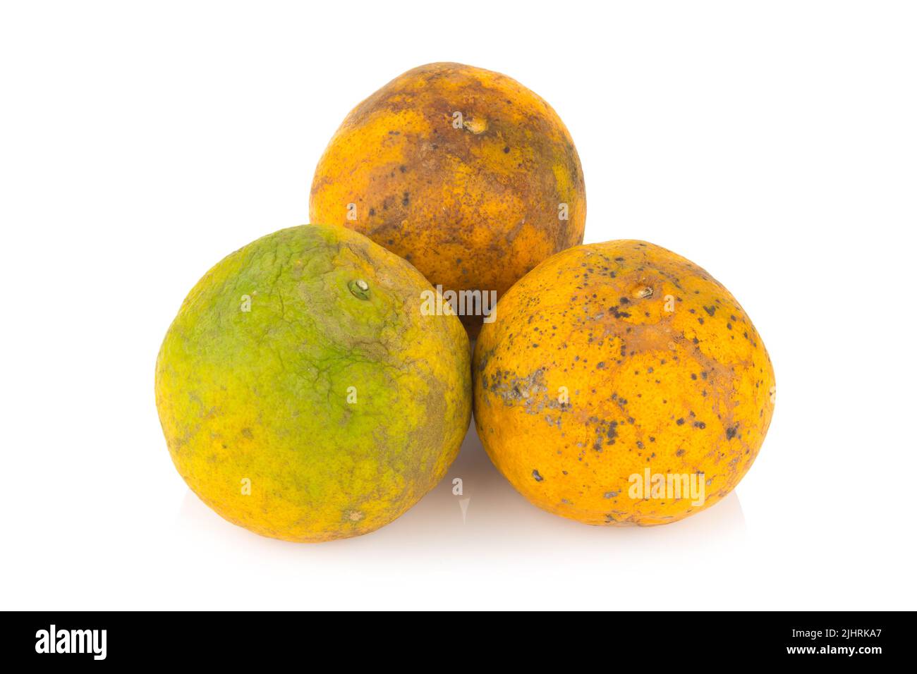 orange. rotten. dirty. three. isolated on white background Stock Photo ...