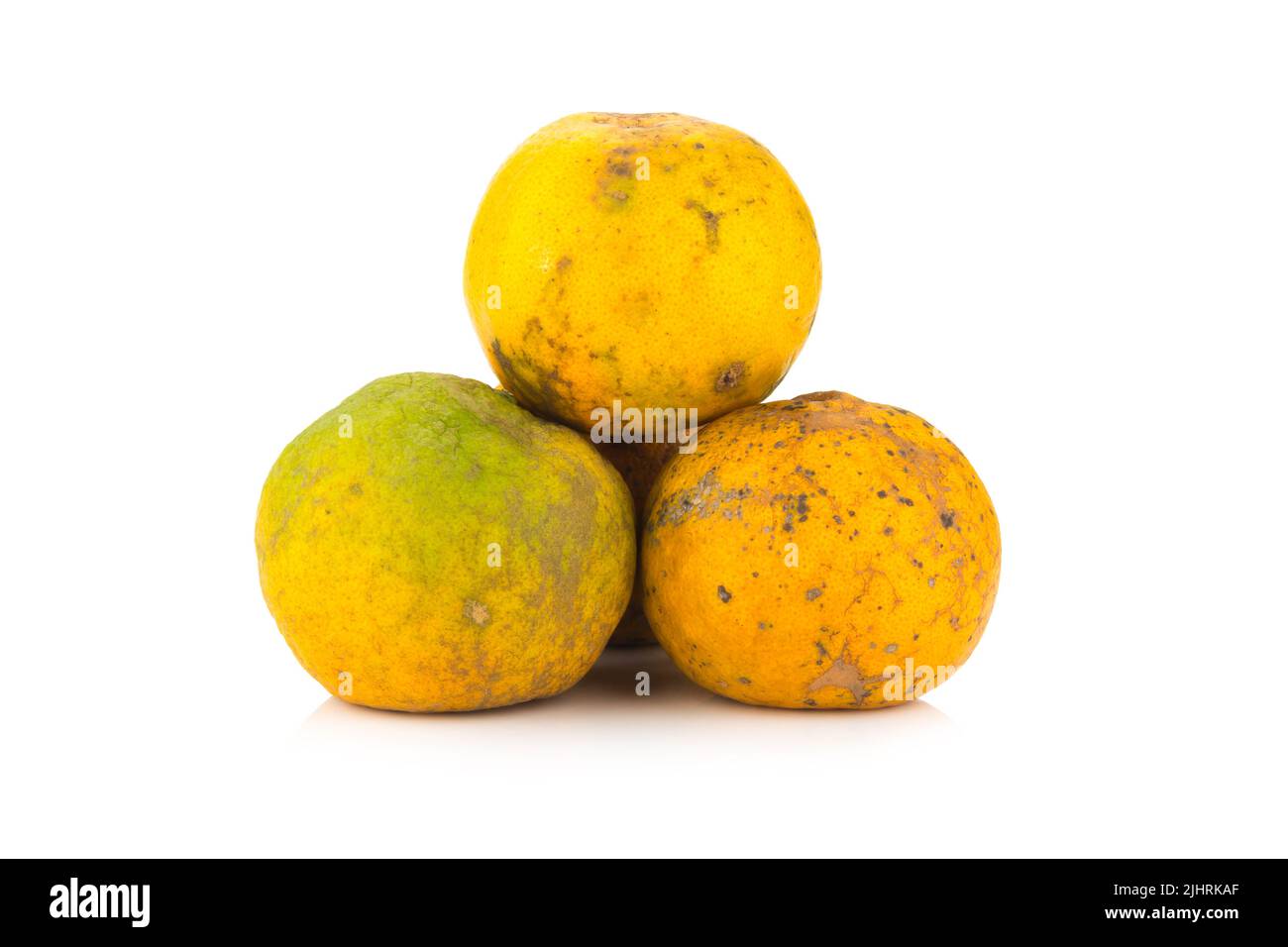 orange. rotten. dirty. three. isolated on white background Stock Photo ...