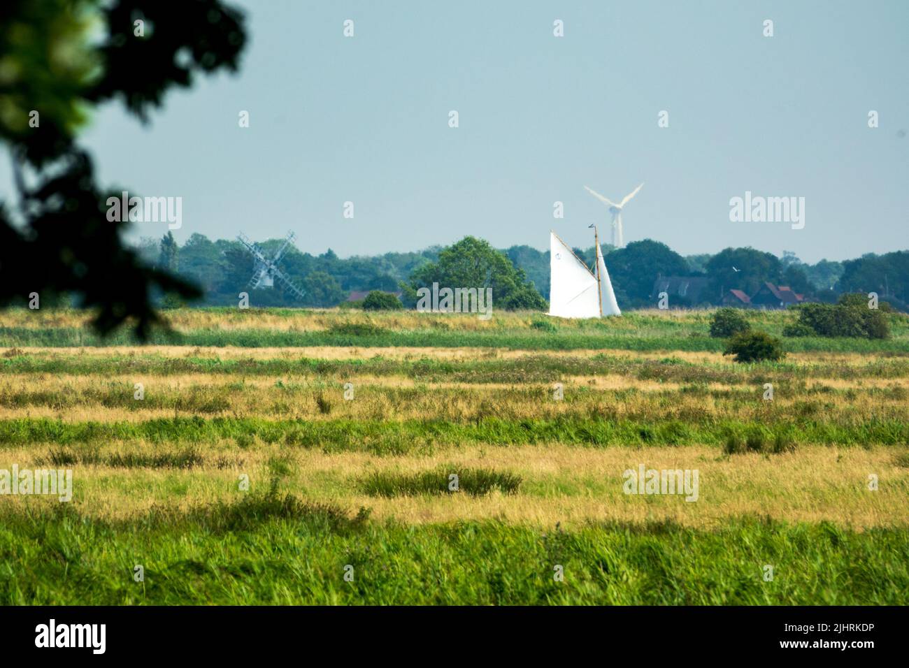 South Walsham Marshes Stock Photo - Alamy