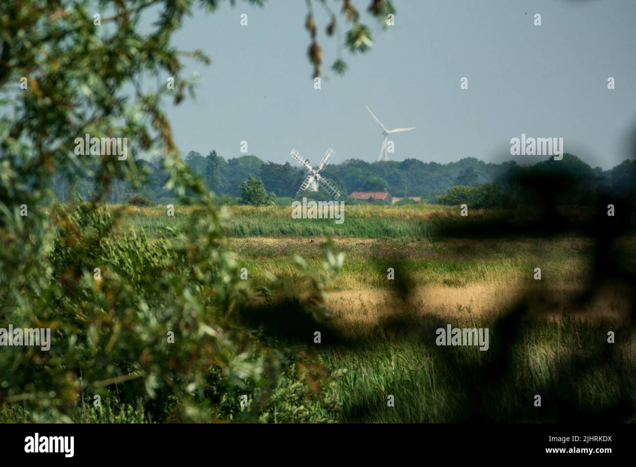 South Walsham Marshes Stock Photo - Alamy