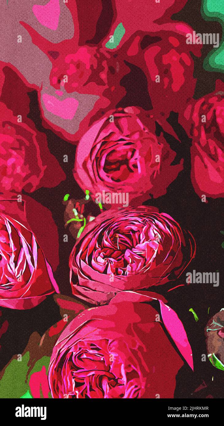 Roses public domain hi-res stock photography and images - Alamy