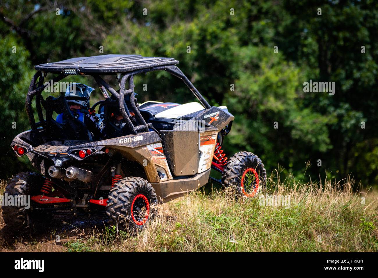 A rear view of drivers in a side-by-side vehicle (UTV) on a dirt track ...