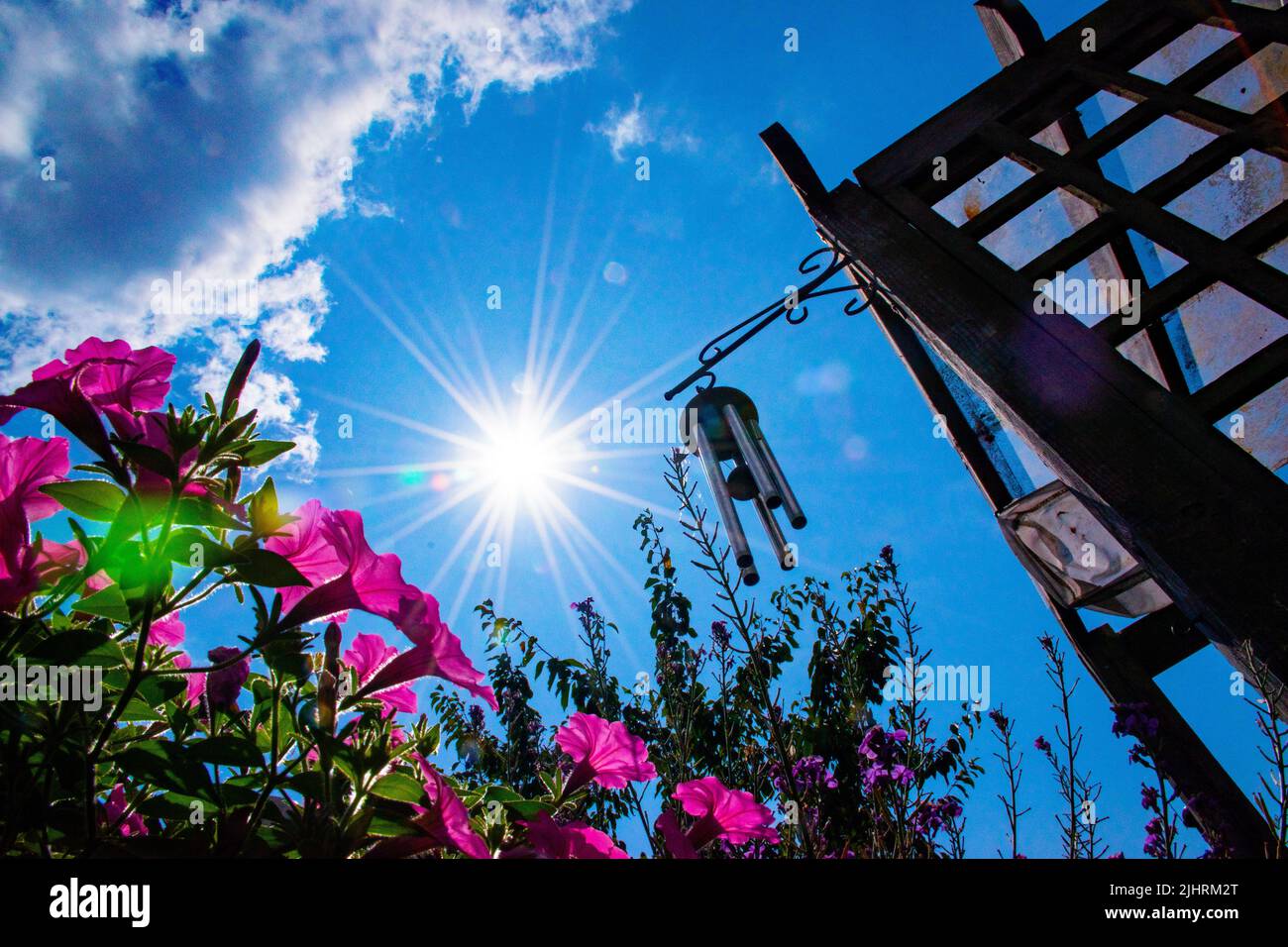 Full sun image hi-res stock photography and images - Alamy