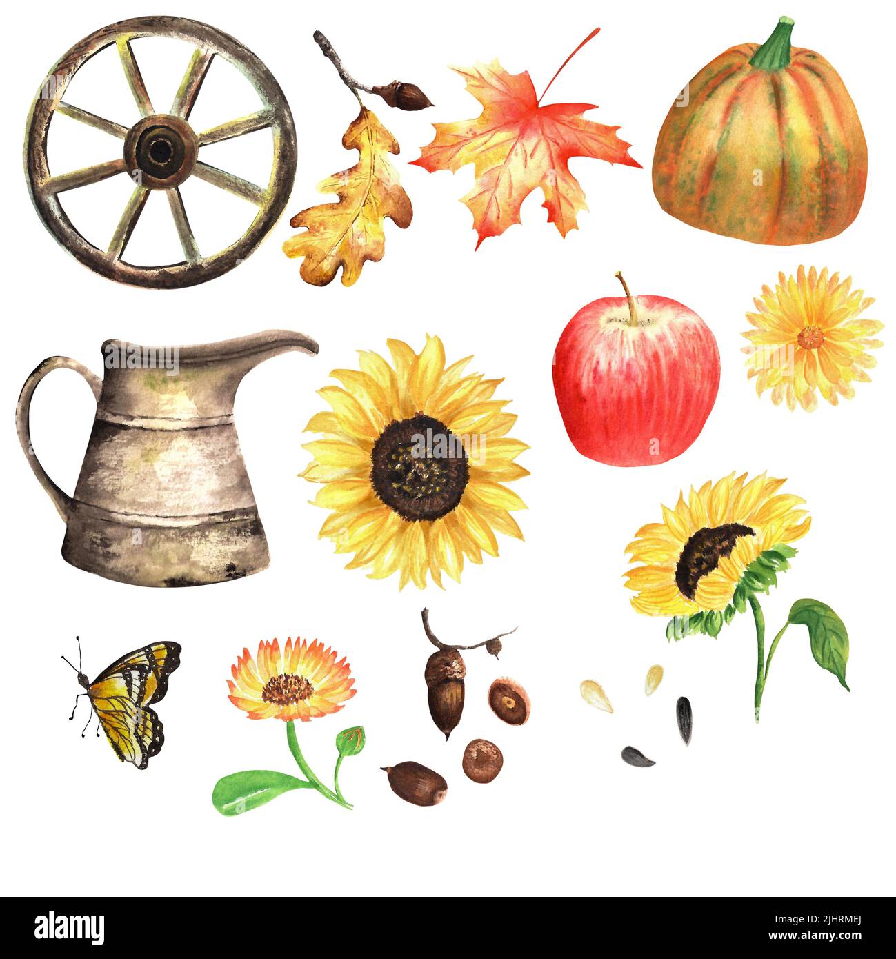 Watercolor autumn garden collection. A set of watercolour illustrations ...