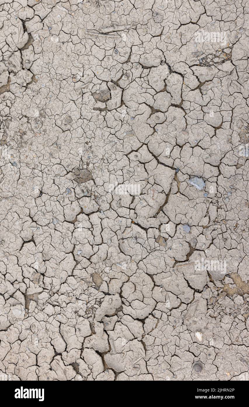 A vertical shot of a dry cracked ground Stock Photo - Alamy