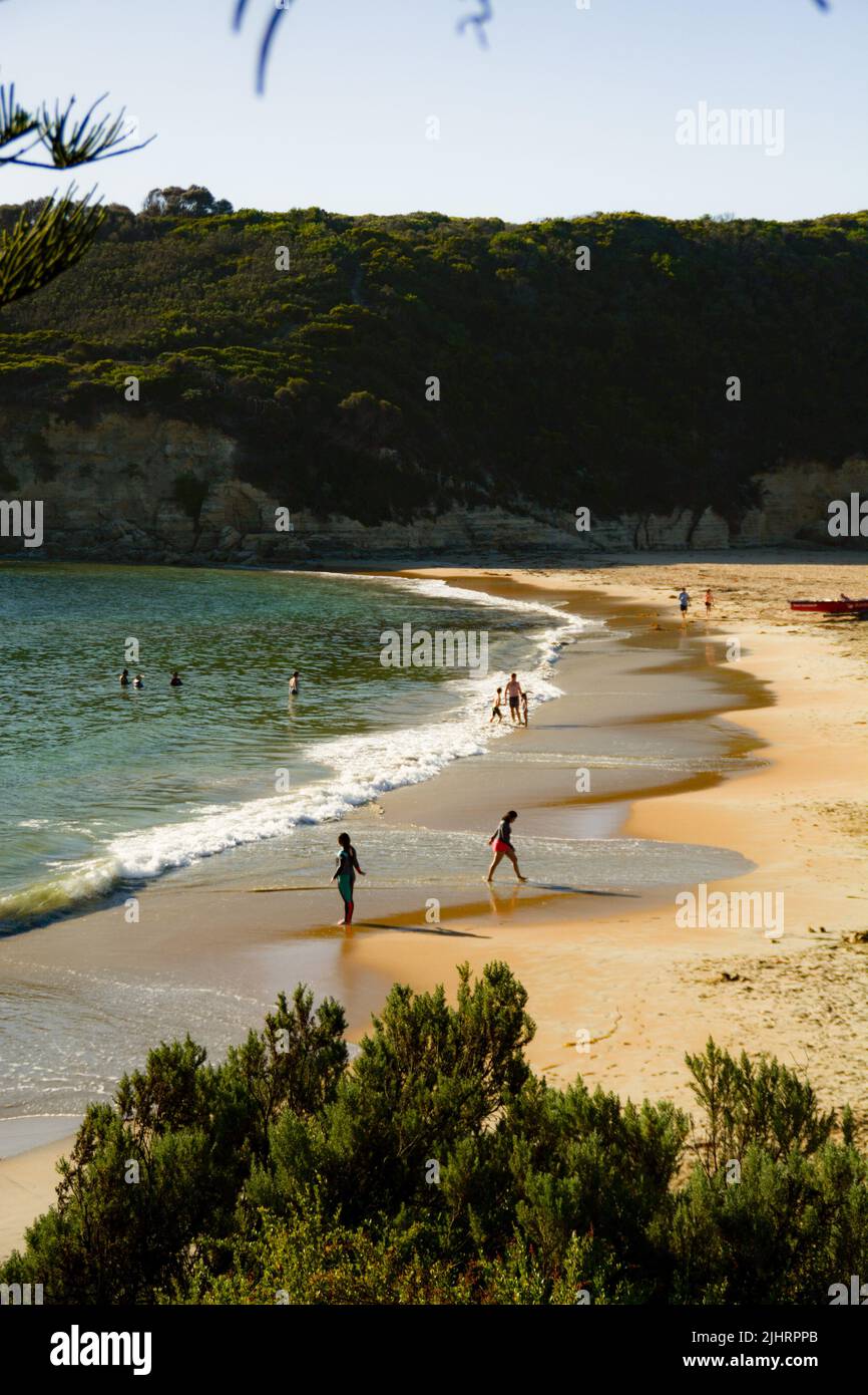 A vertical shot of a beach with people swimming and relaxing Stock ...
