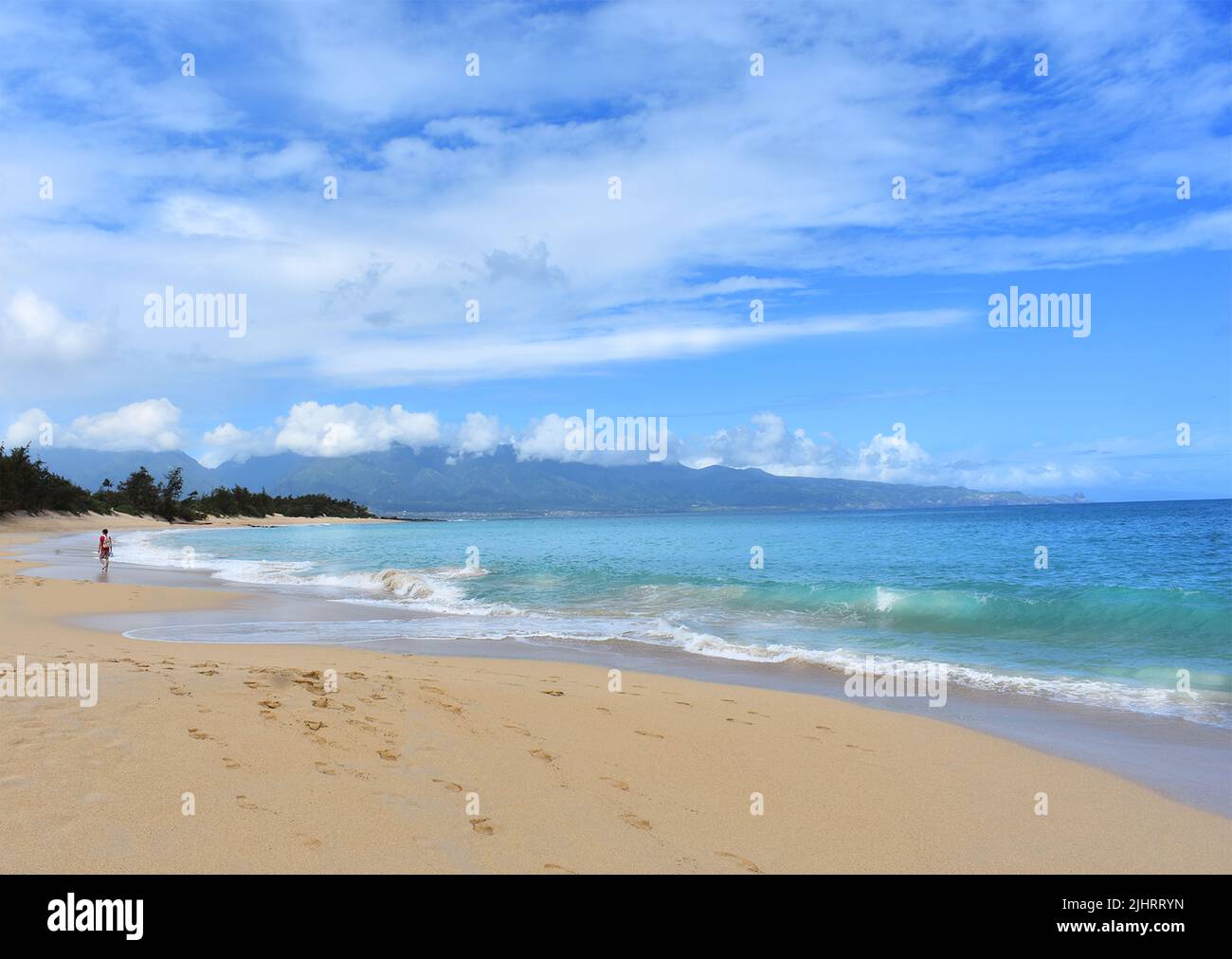 A back view of a person at a distance walking on the sandy beach with ...