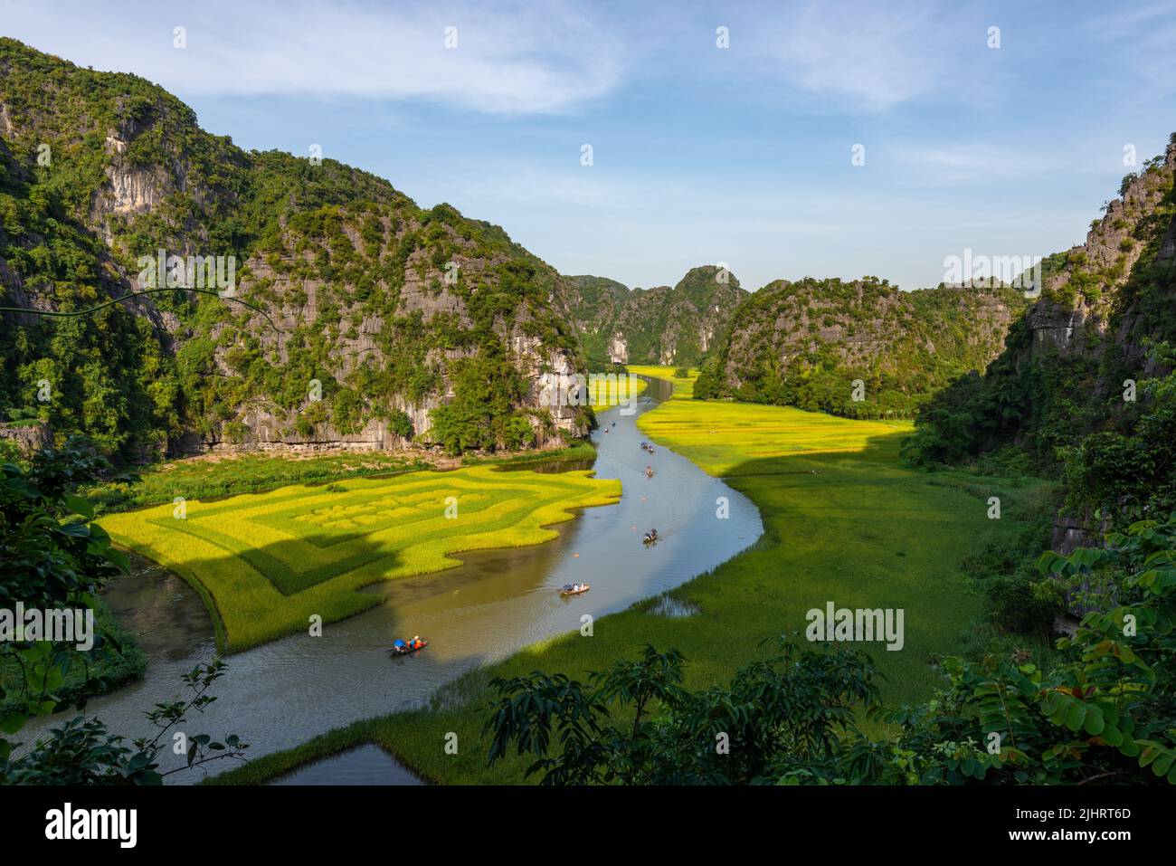 Yellow rice field on Ngo Dong river in Tam Coc Bich Dong from mountain ...