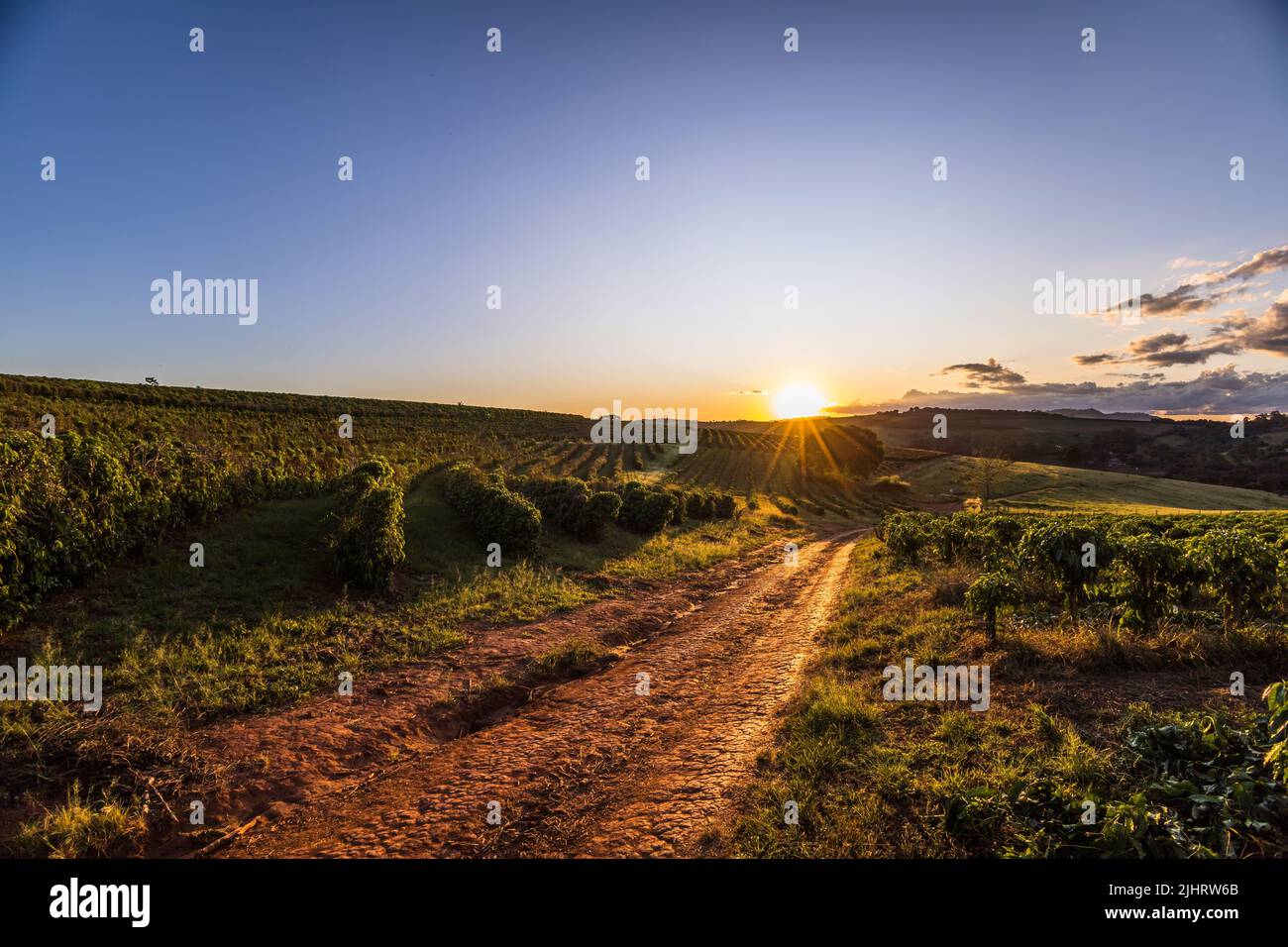 A small road in a farm with sunrays during sunset Stock Photo - Alamy