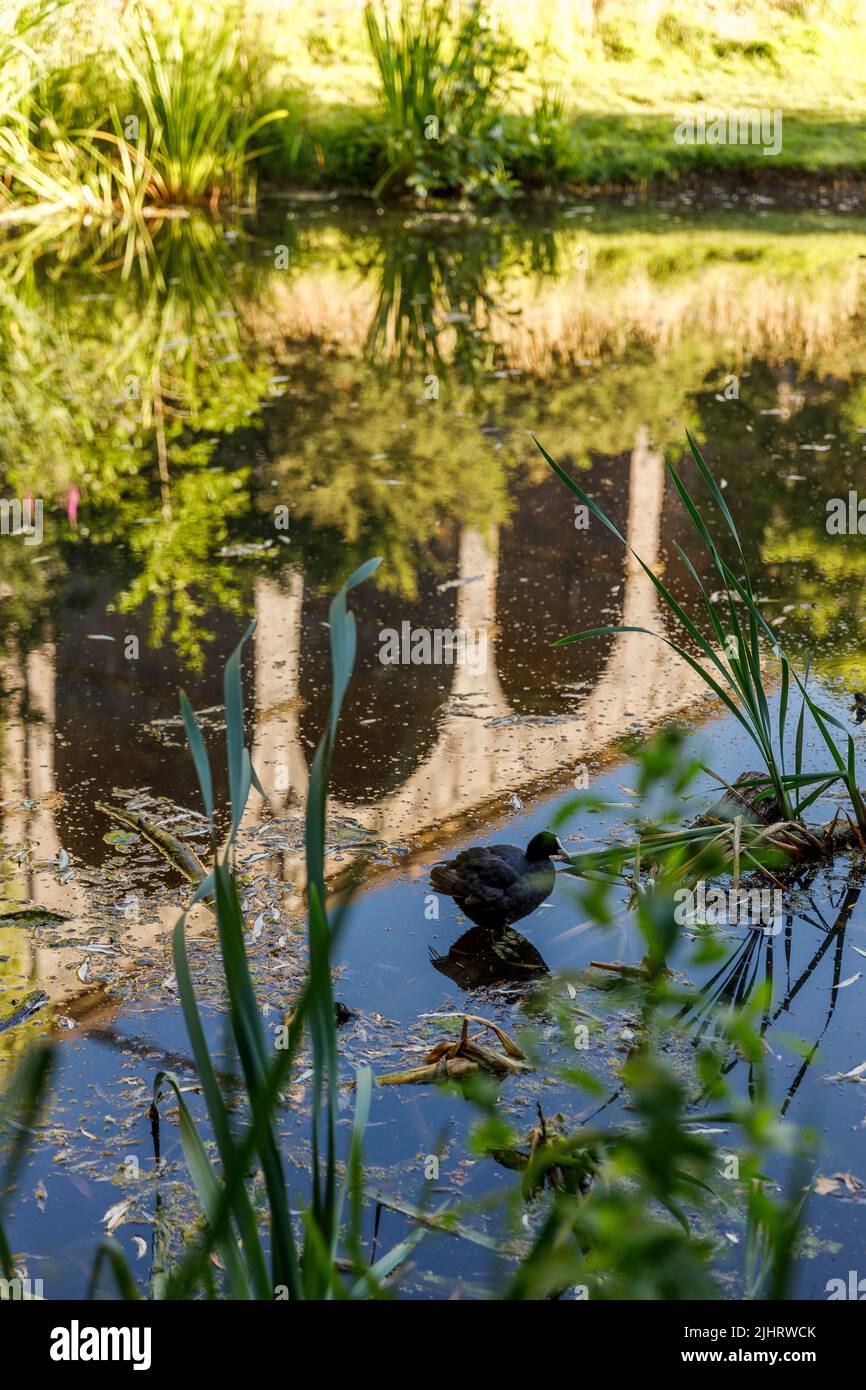 Welwyn Garden City & Codicote Local Area Photography Stock Photo - Alamy