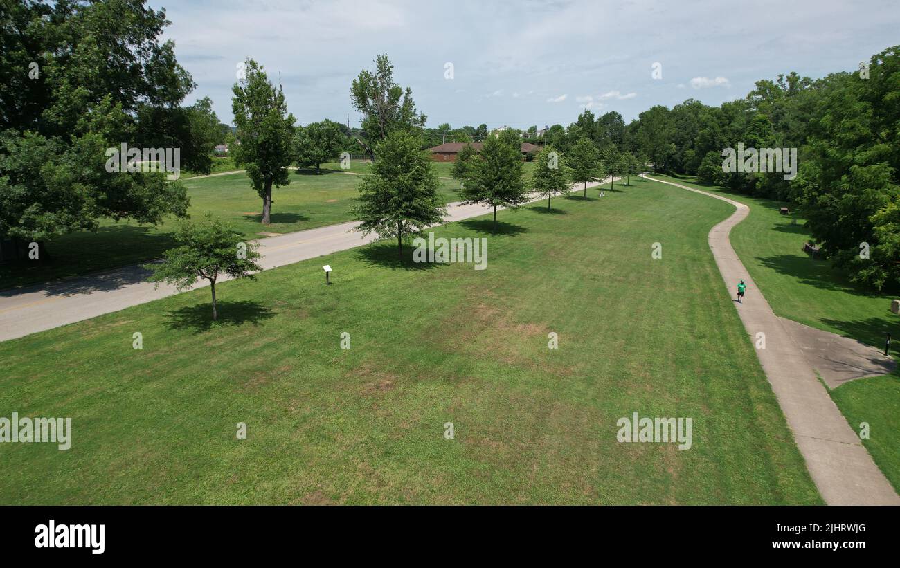 A beautiful park with aligned high trees and walking roads under blue ...