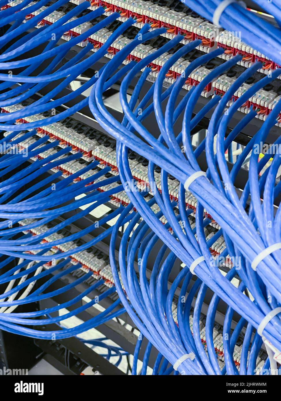 A vertical closeup of plugged in blue cables Stock Photo - Alamy