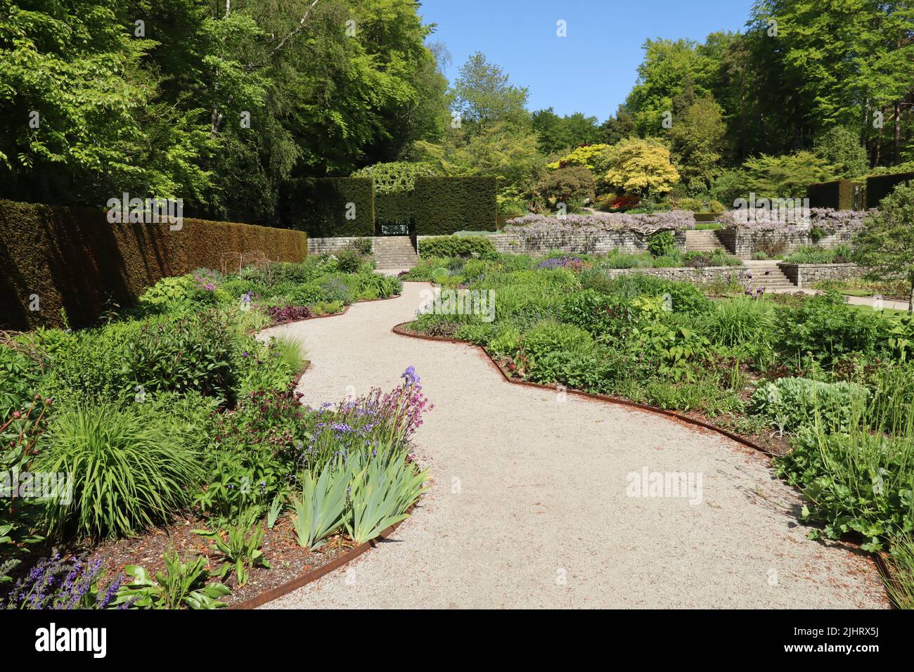 A irregular curved gravel path runs between flowerbeds of abundant ...