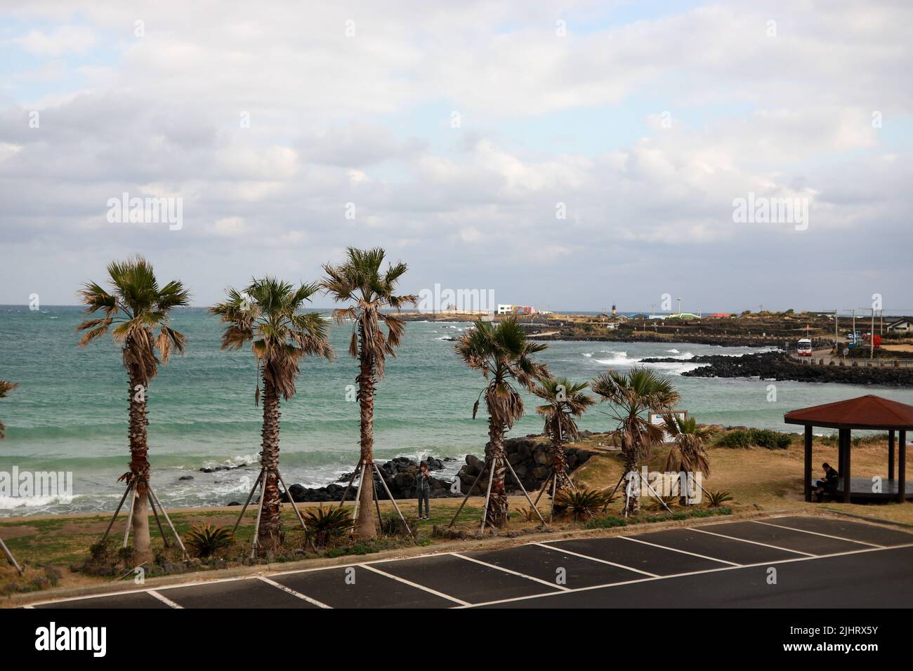 Udo korea hi-res stock photography and images - Alamy
