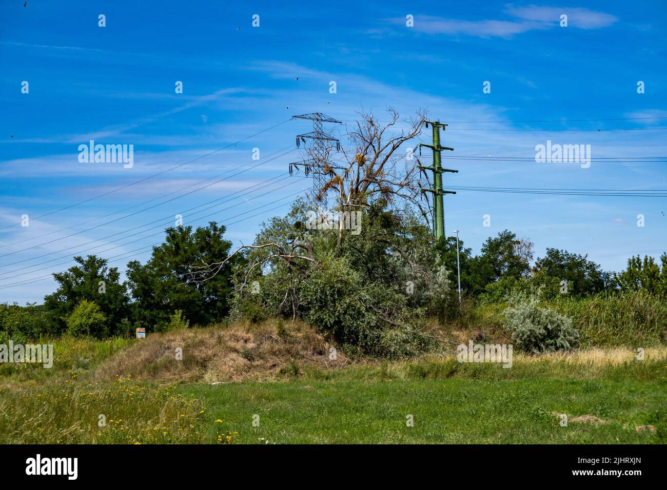 Green field with high voltage power lines and power pylons Stock Photo ...