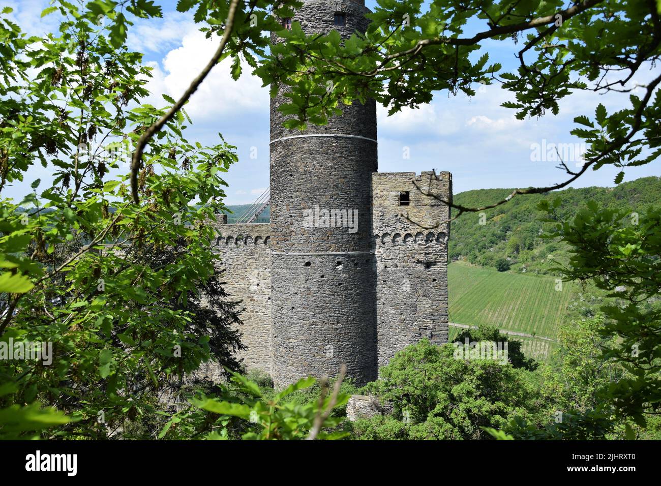 An old castle captured from behind the tree branches surrounded by ...