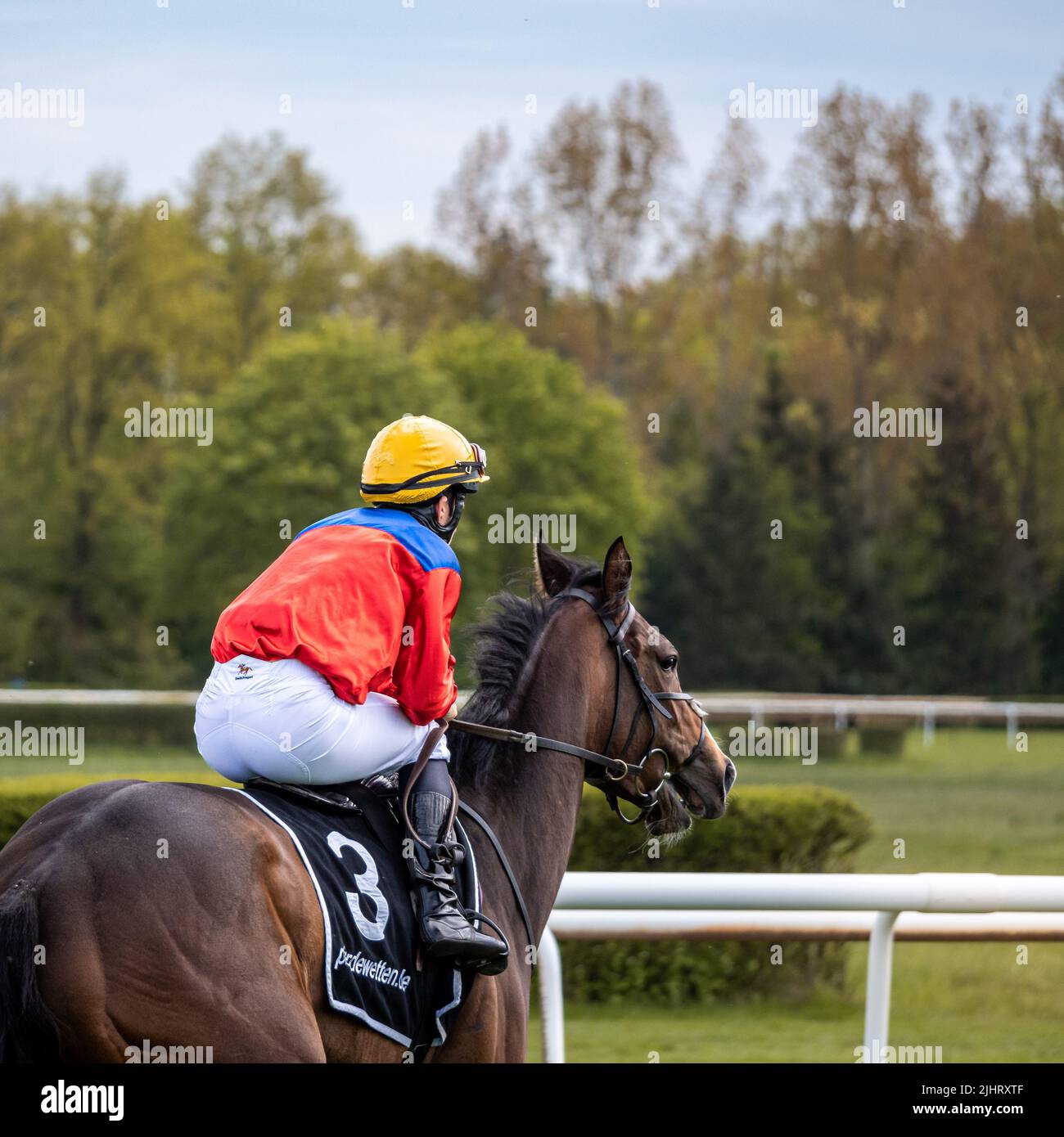 A professional horse rider attending competition Stock Photo - Alamy