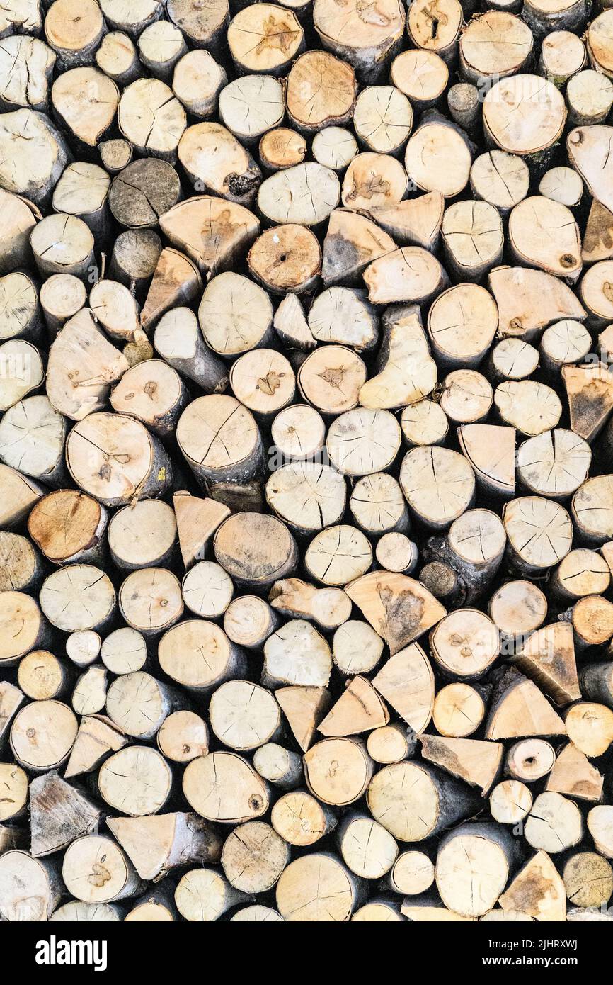 A vertical top view of stacked cut tree trunks Stock Photo - Alamy