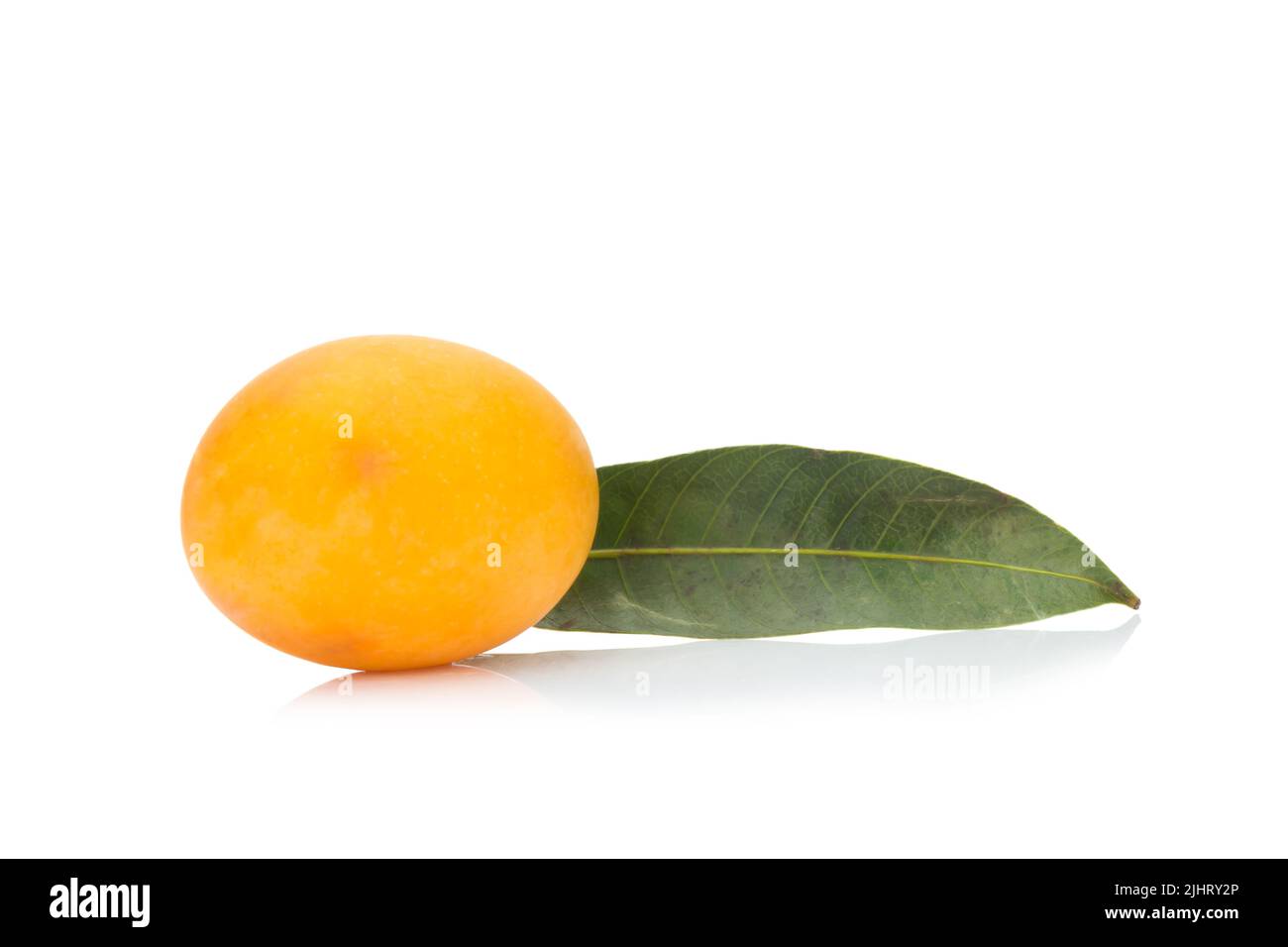 Marian plum Thai fruit isolated on white background. Mayongchid ...