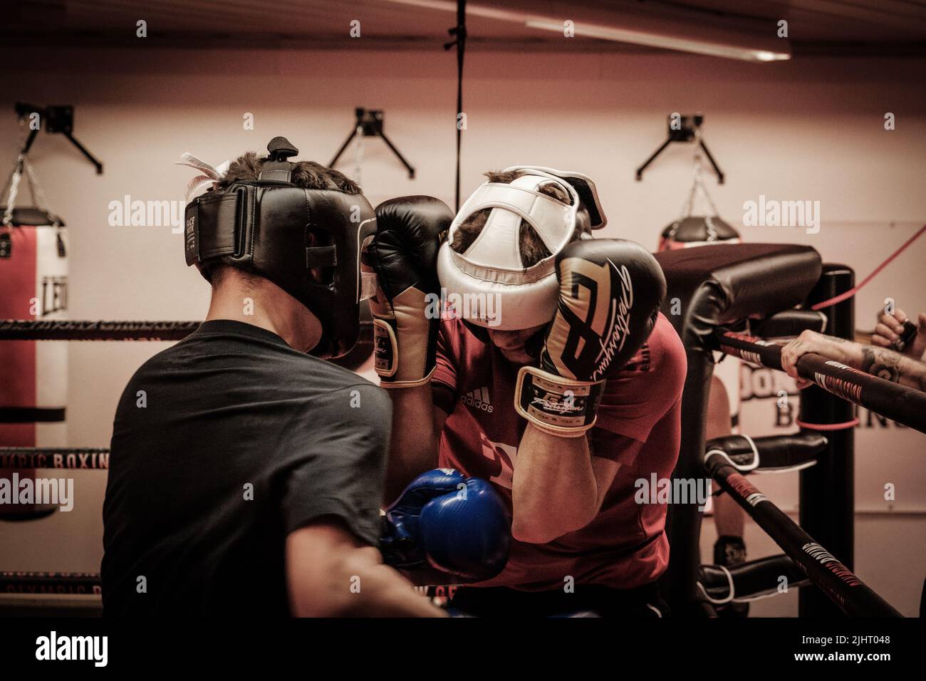 A sparring battle between two guys Stock Photo - Alamy