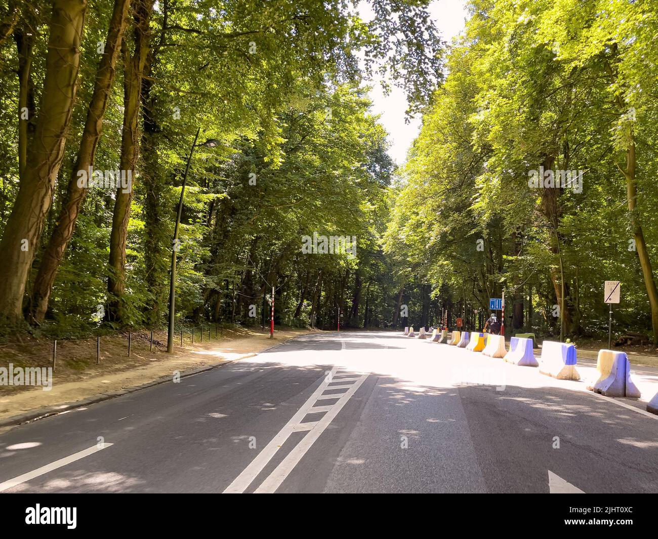 An empty road through the forest in Belgium Stock Photo - Alamy