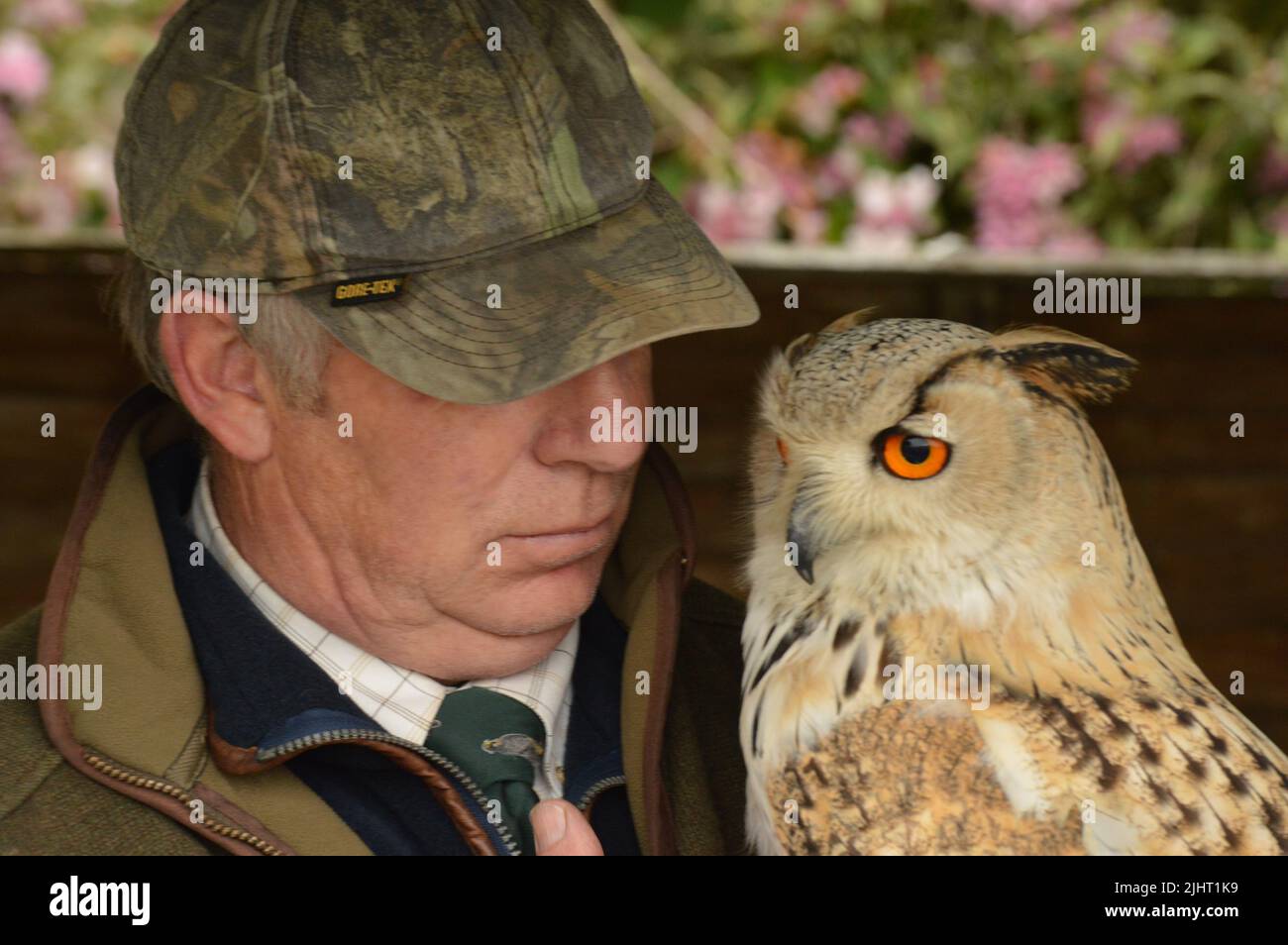 A man and an owl at The Suffolk Show in Trinity Park, Ipswich, the UK ...